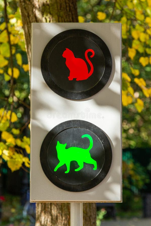 Cat shaped traffic light editorial stock photo. Image of shaped - 235169313