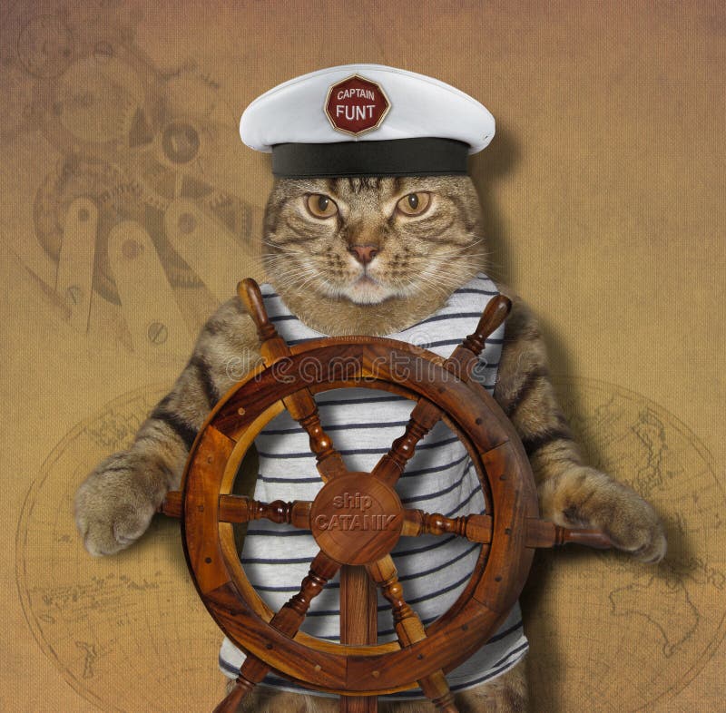 The cat is a ship captain. stock photo. Image of helm - 126956106