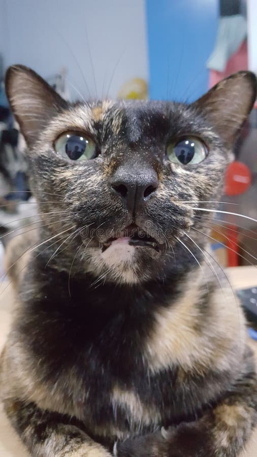 Shocked Face Stock Photos - Download 35,919 Royalty Free Photos