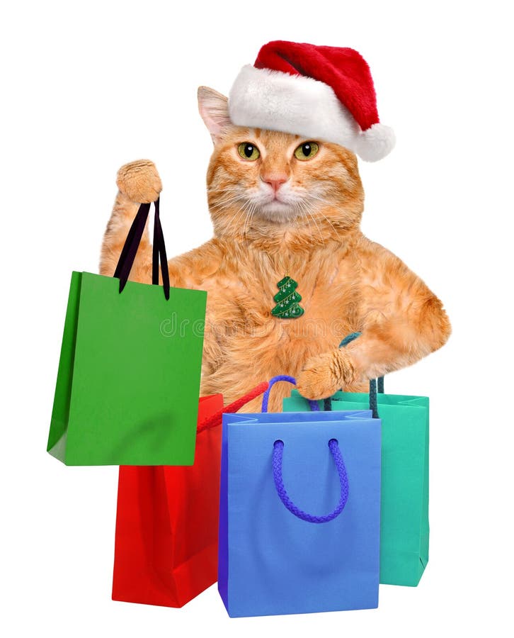 Cat Shopper Sales. stock photo. Image of commercial, shopaholic - 61077426
