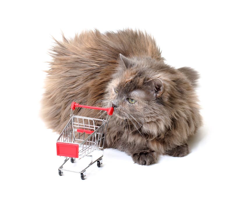 Toys in Cart stock image. Image of purple, blanket, cart - 7935091