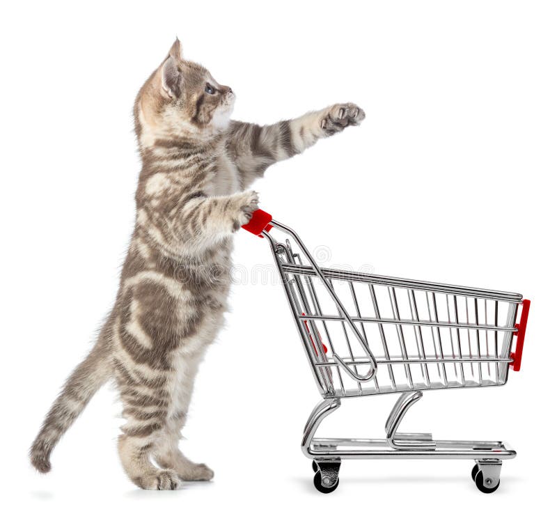 368 Cat Shopping Cart White Stock Photos - Free & Royalty-Free Stock ...