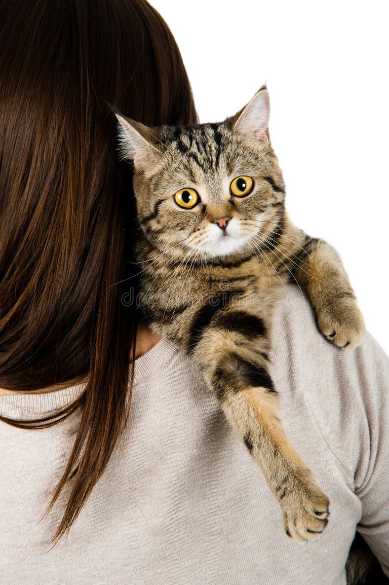 2,255 Cat Shoulder Stock Photos - Free & Royalty-Free Stock Photos from ...