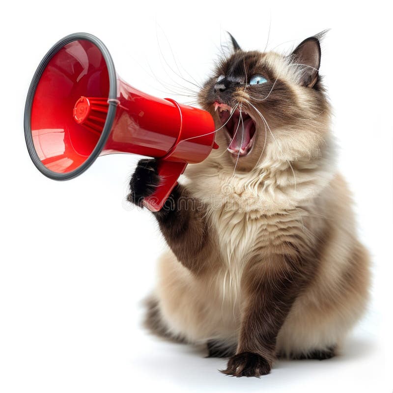 Cat Shouting through Red Megaphone - Humorous Animal Communication ...