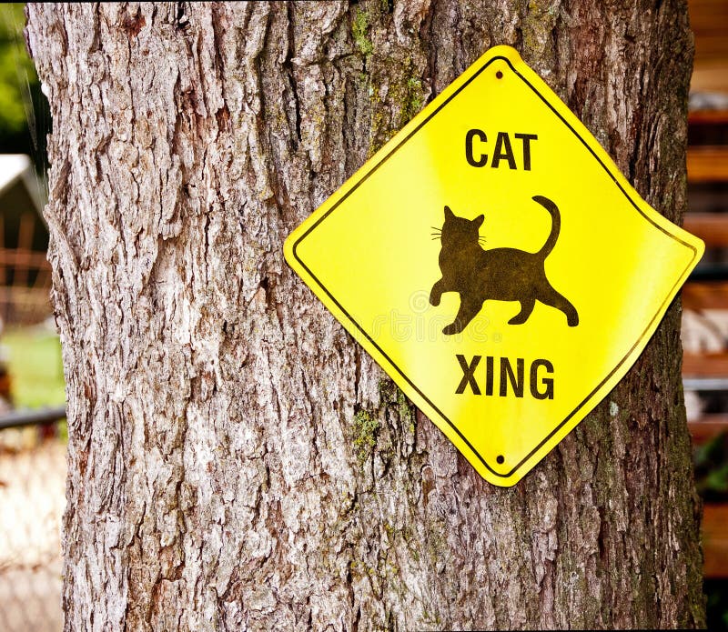 Cat Sign stock image. Image of silhouette, sign, symbols - 43546809