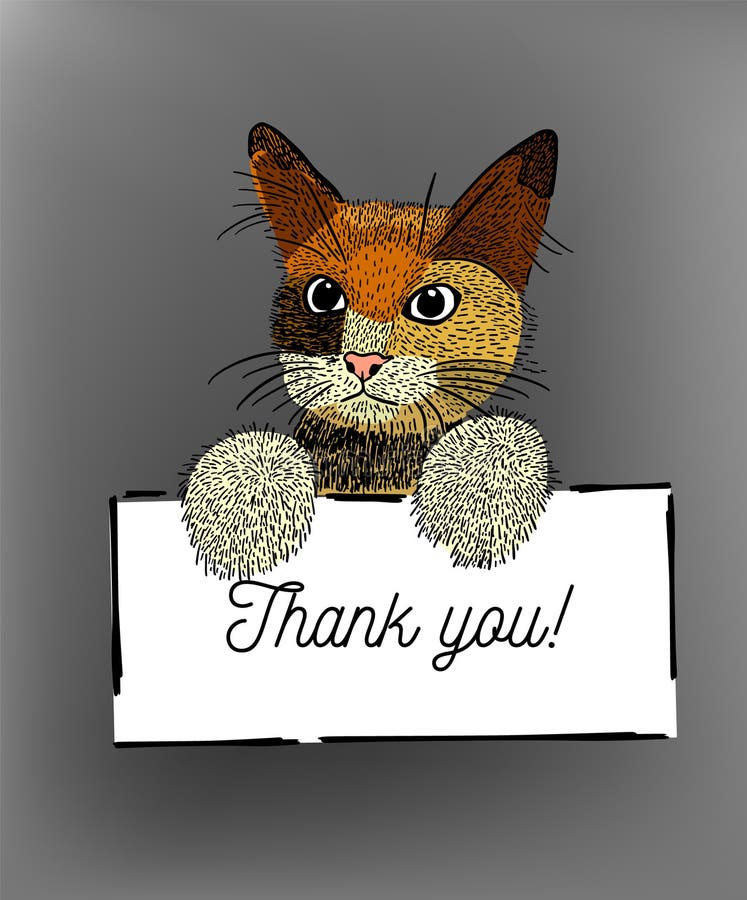 A Cat with a Sign in His Hands. Hand Drawing. Not AI, Vector ...