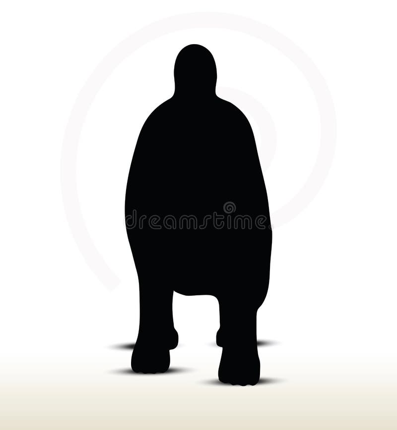 Cat Silhouette Stalking Stock Illustrations – 183 Cat Silhouette ...