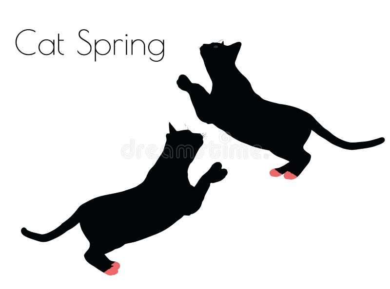 Cat Silhouette in Spring Pose Stock Vector - Illustration of black ...