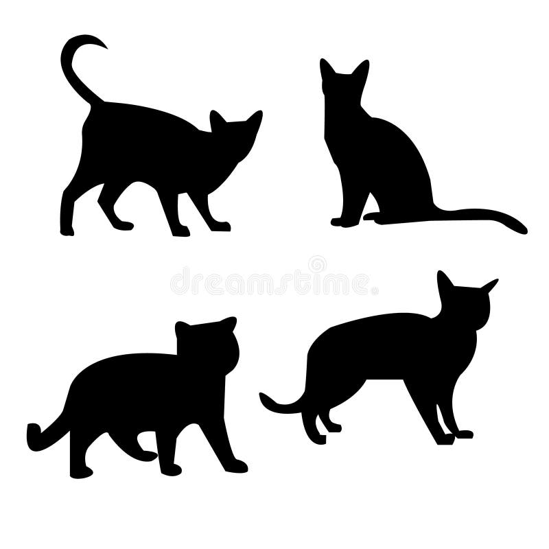Cat Silhouette Vector stock vector. Illustration of silhouette - 255650280