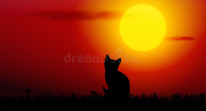 Cat silhouette stock illustration. Illustration of sunset - 78384609