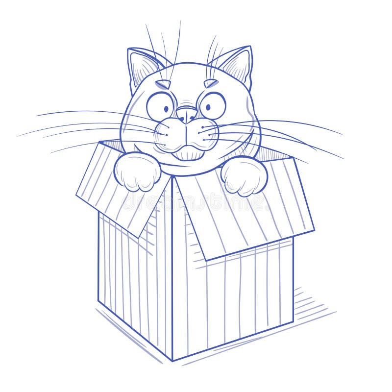 Cat sitting in a box stock vector. Illustration of background - 228741965