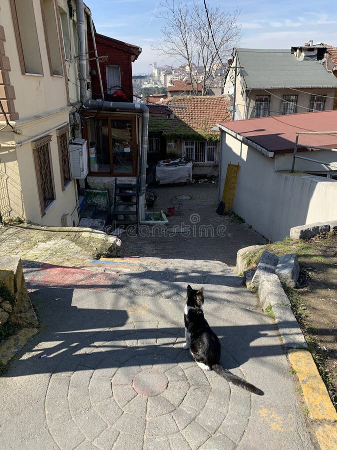 Poor district in istanbul stock image. Image of exterior - 216984015