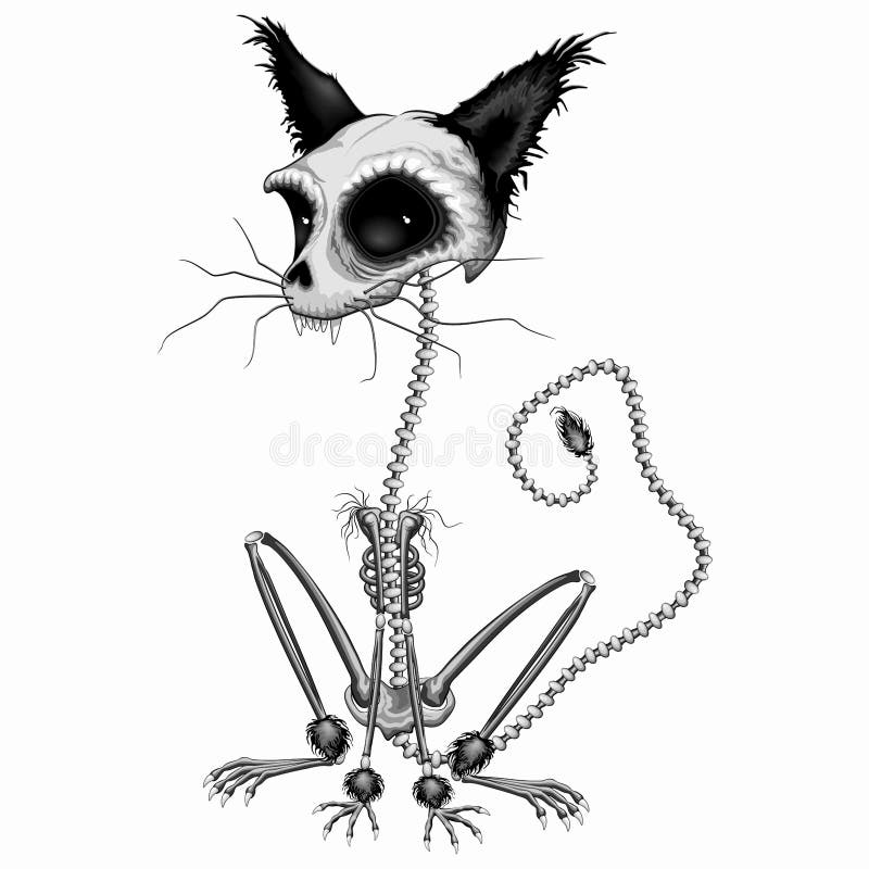 Cat Skeleton Creepy Halloween Character Vector Illustration Isolated On White Stock Vector