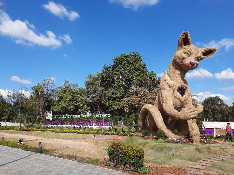 Straw Puppet or Scarecrow Strawman in the Rice Field in Asia Stock ...