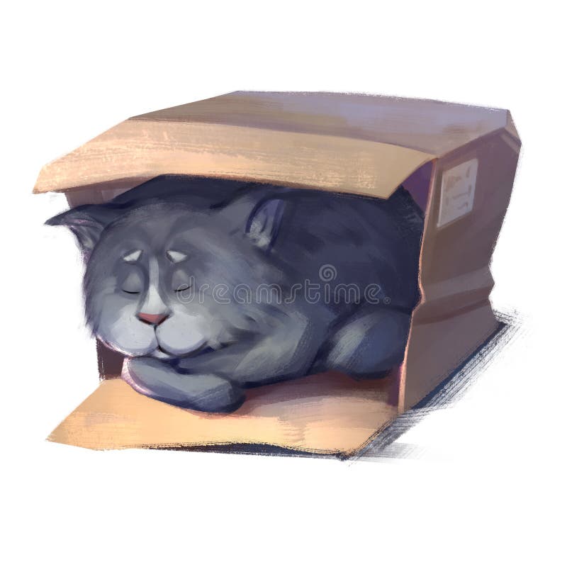 Cat Sleep in Box 2d Art Digital Draw Stock Illustration - Illustration ...
