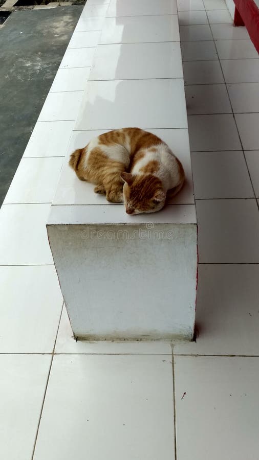 174 Halte Stock Photos - Free & Royalty-Free Stock Photos from Dreamstime