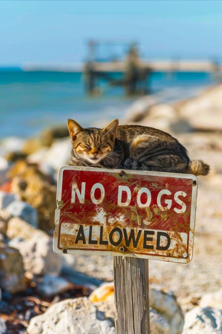 No Cats Sign Stock Photos - Free & Royalty-Free Stock Photos from ...
