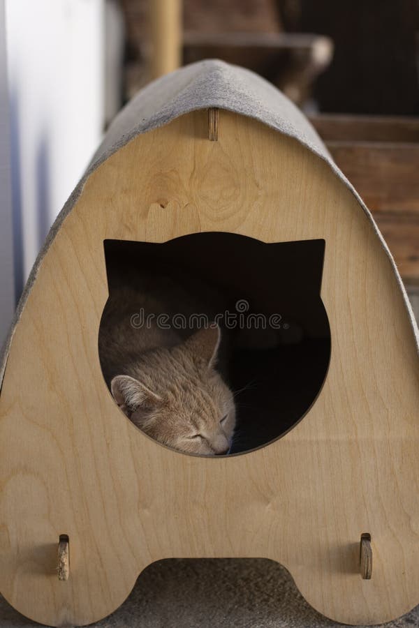 Cat Sleeping in a Wooden Cat House Stock Photo - Image of pets, hiding ...