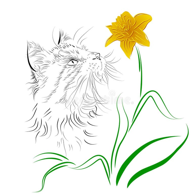 Cat Smelling Stock Illustrations – 145 Cat Smelling Stock Illustrations ...