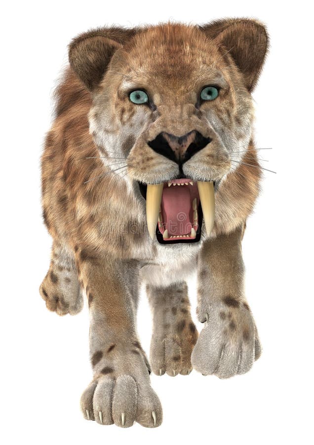 Smilodon - Tigre Del Diente Del Sable Imagen de archivo - Imagen de ...