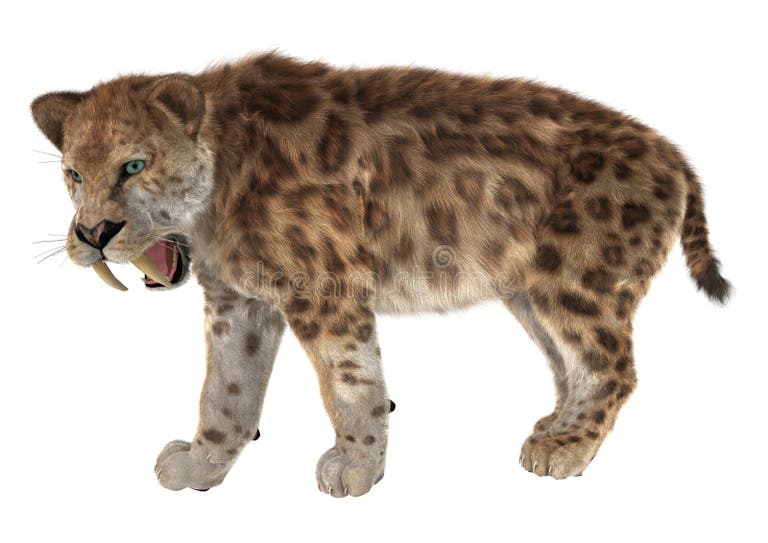 Cat Smilodon grande foto de stock. Imagem de gato, extinto - 57704304