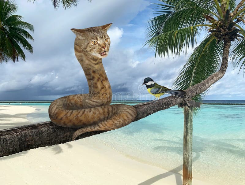 Cat Snake on Palm Tree Near Seashore Stock Photo - Image of tree ...