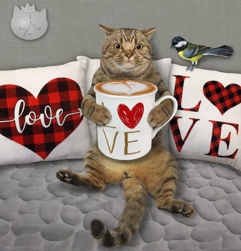 Cat Soft Divan Drinks Coffee Stock Photos - Free & Royalty-Free Stock ...