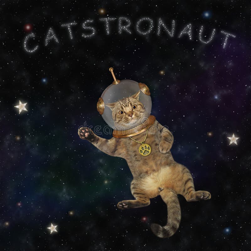 Cat Head Floating In Space