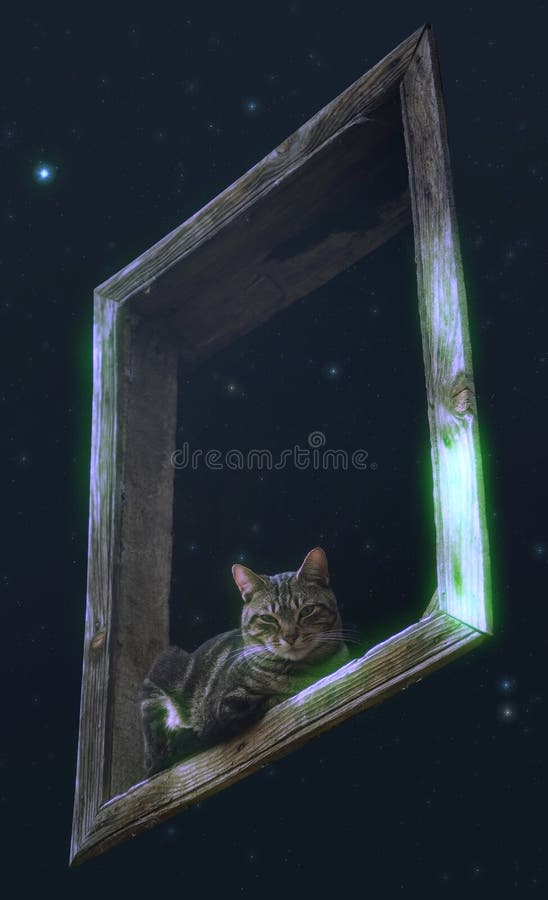 Cat at Spatial Wooden Window Stock Illustration - Illustration of funy ...