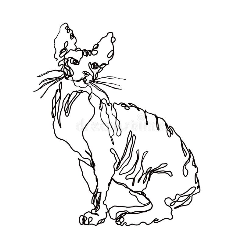 A Cat Sphinx Isolated on White Stock Illustration - Illustration of ...