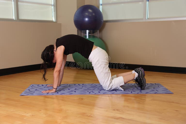 3,730 Cat Stretch Stock Photos - Free & Royalty-Free Stock Photos from ...