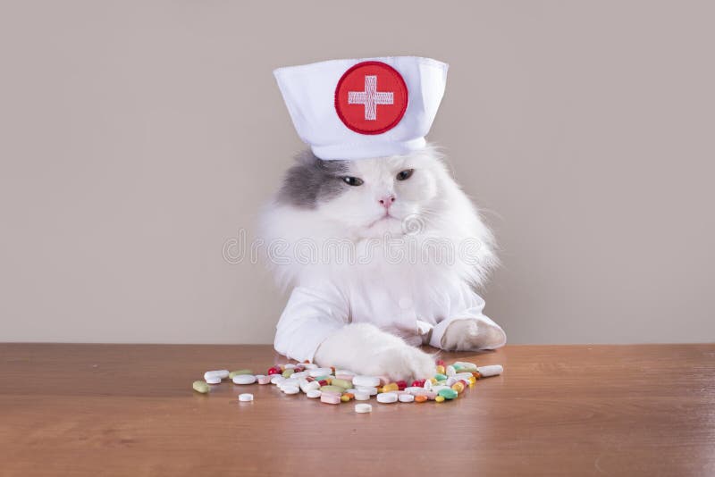 Pharmacist Cat Stock Photos - Free & Royalty-Free Stock Photos from ...