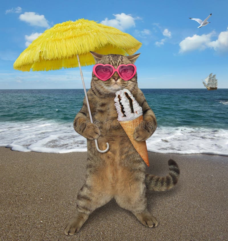 Cat in Sunglasses with Ice Cream on the Beach 2 Stock Photo - Image of ...