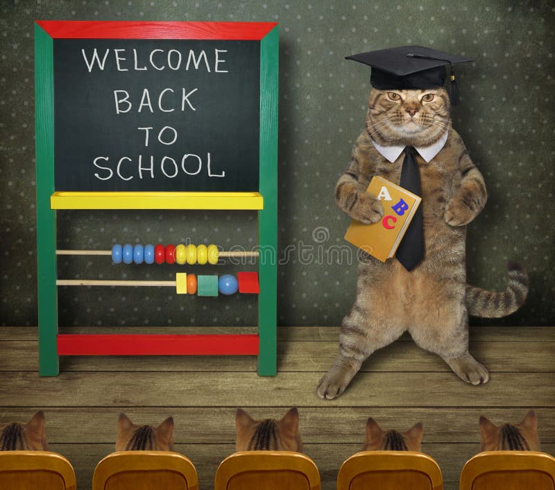 484 Cat Classroom Stock Photos - Free & Royalty-Free Stock Photos from ...