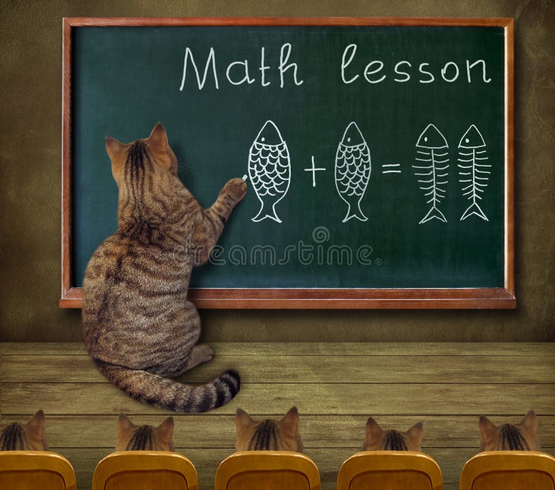 Cat Teaches Math To Students 2 Stock Image - Image of student ...