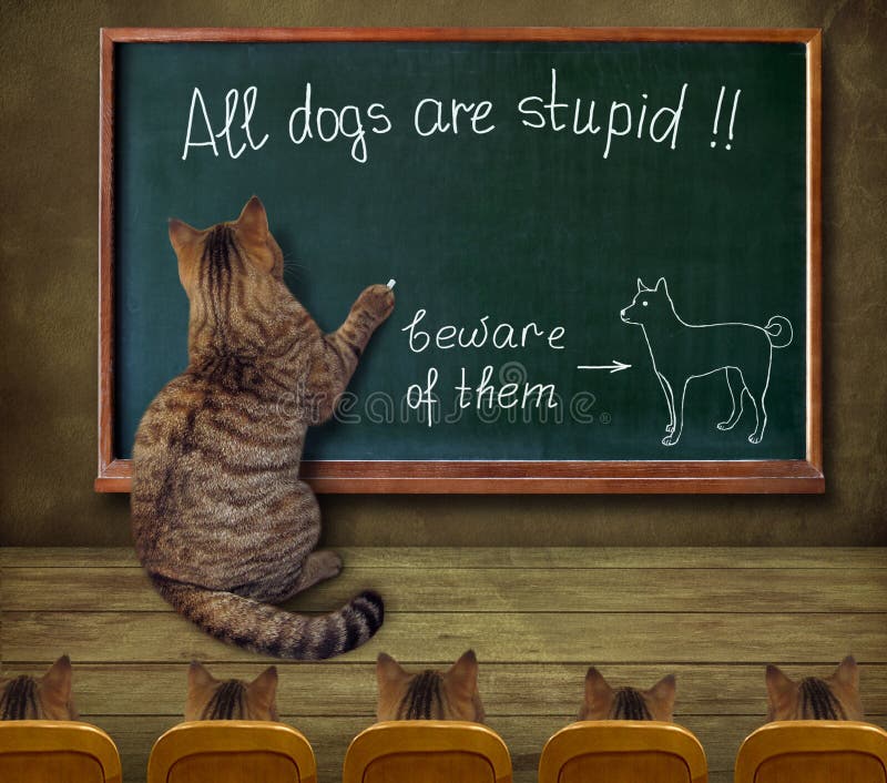 Cat Teacher Writes on a Blackboard Stock Illustration - Illustration of ... Cat Teacher Writes on a Blackboard Stock Illustration - Illustration of ...
