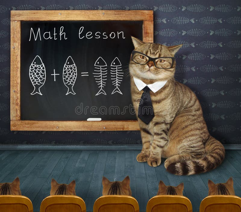 668 Cat Teacher Photos - Free & Royalty-Free Stock Photos from Dreamstime