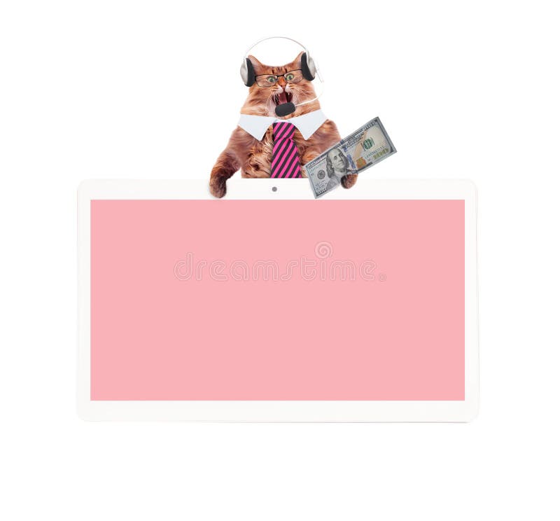 Cat with a Telephone Headset and a Tablet. Isolated on a White ...