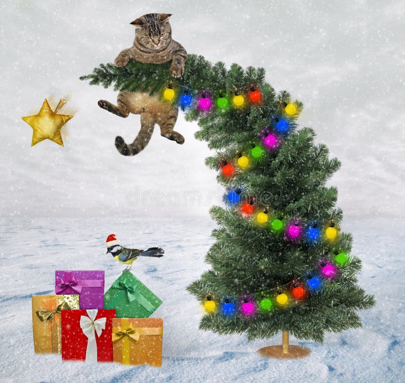 Cat Fallen Christmas Tree Stock Photos - Free & Royalty-Free Stock ...