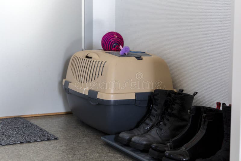 Cat Tranportation Container Carrier. Stock Photo - Image of care ...