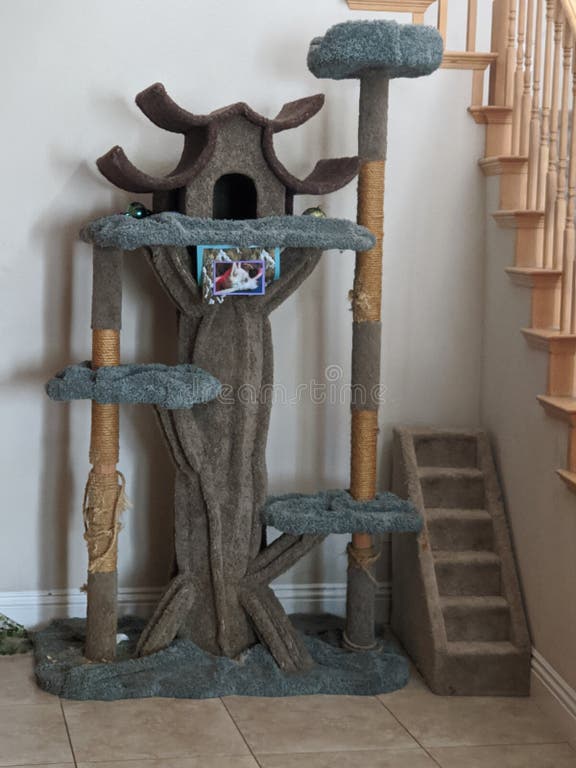 Cat tree, elf village stock image. Image of lighting - 184658629