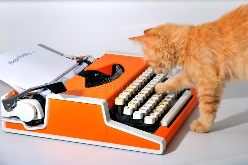 Cat and typewriter stock image. Image of staring, striped - 16716297