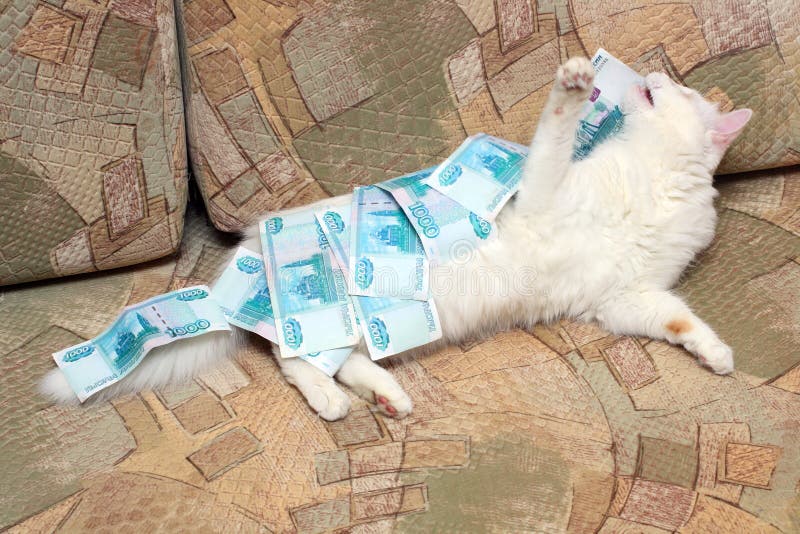 3,145 Cat Money Stock Photos - Free & Royalty-Free Stock Photos from ...