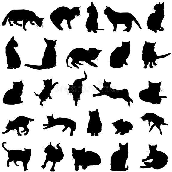 Cat vector stock vector. Illustration of feline, outline - 4800352