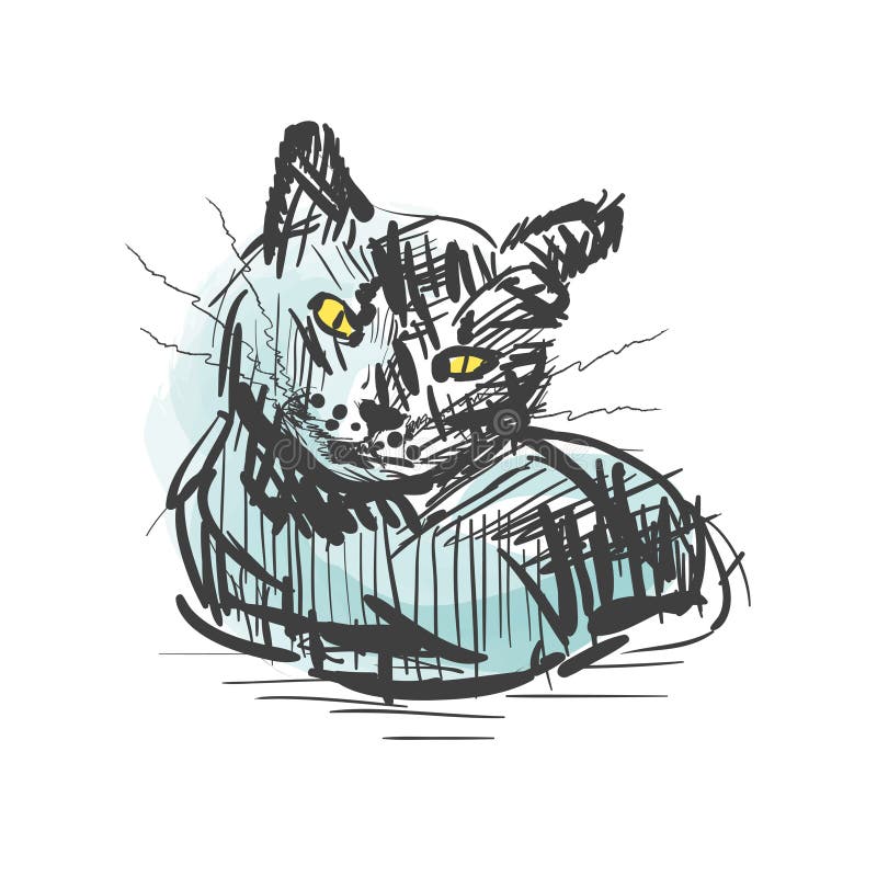 Cat. Vector Sketch Isolated on Awhite Background Stock Vector ...
