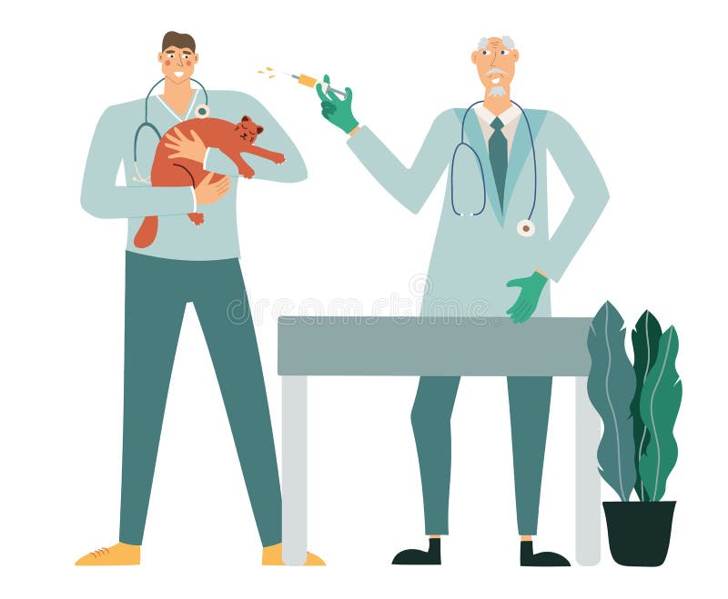 A Cat in a Veterinary Clinic. Vet Examination and Vaccination Stock ...