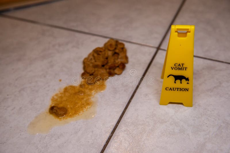 Cat Vomit Caution Sign on Tiled Floor Stock Image - Image of tile ...