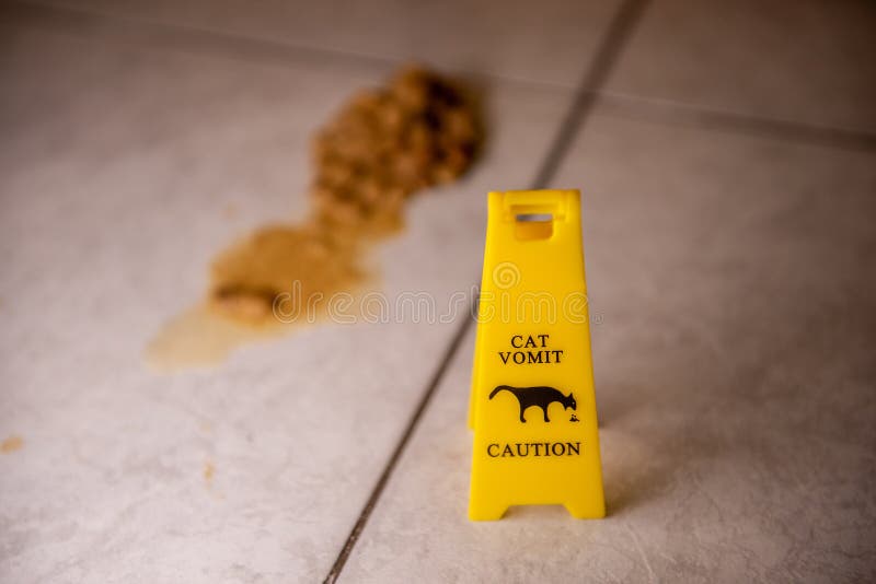 Cat Vomit Caution Sign on Tiled Floor Stock Photo - Image of tile ...