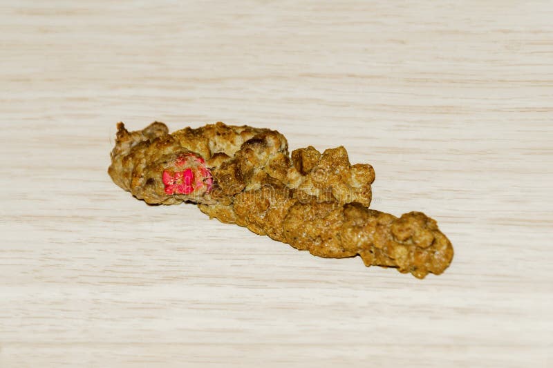 Dog Choking Ball Stock Photos - Free & Royalty-Free Stock Photos from ...