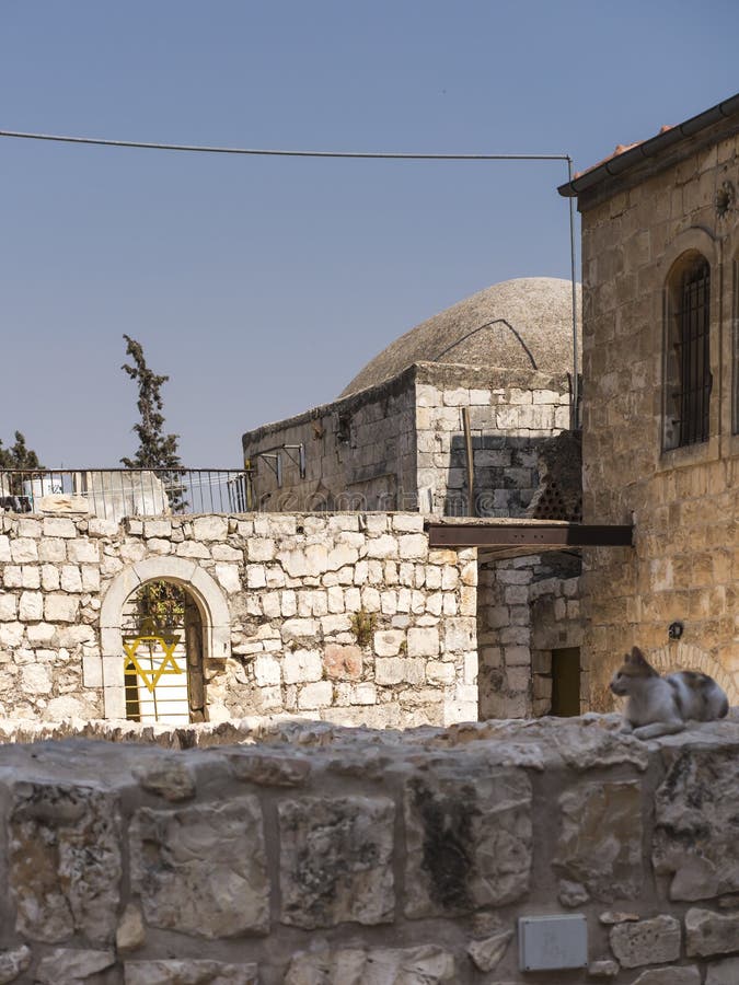 A Cat on the Wall in the Old District of Jerusalem Stock Photo - Image ...